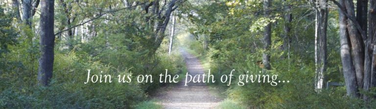 Contact - Foundation for World Education